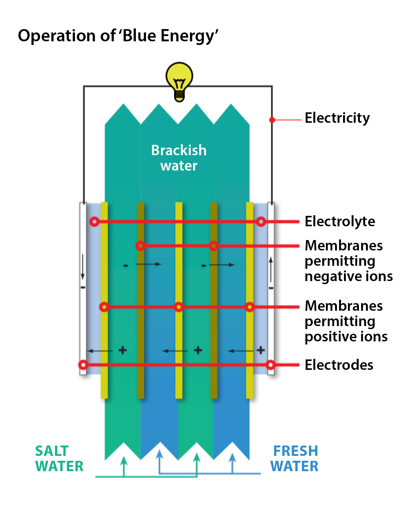 Blue Energy - The Afsluitdijk